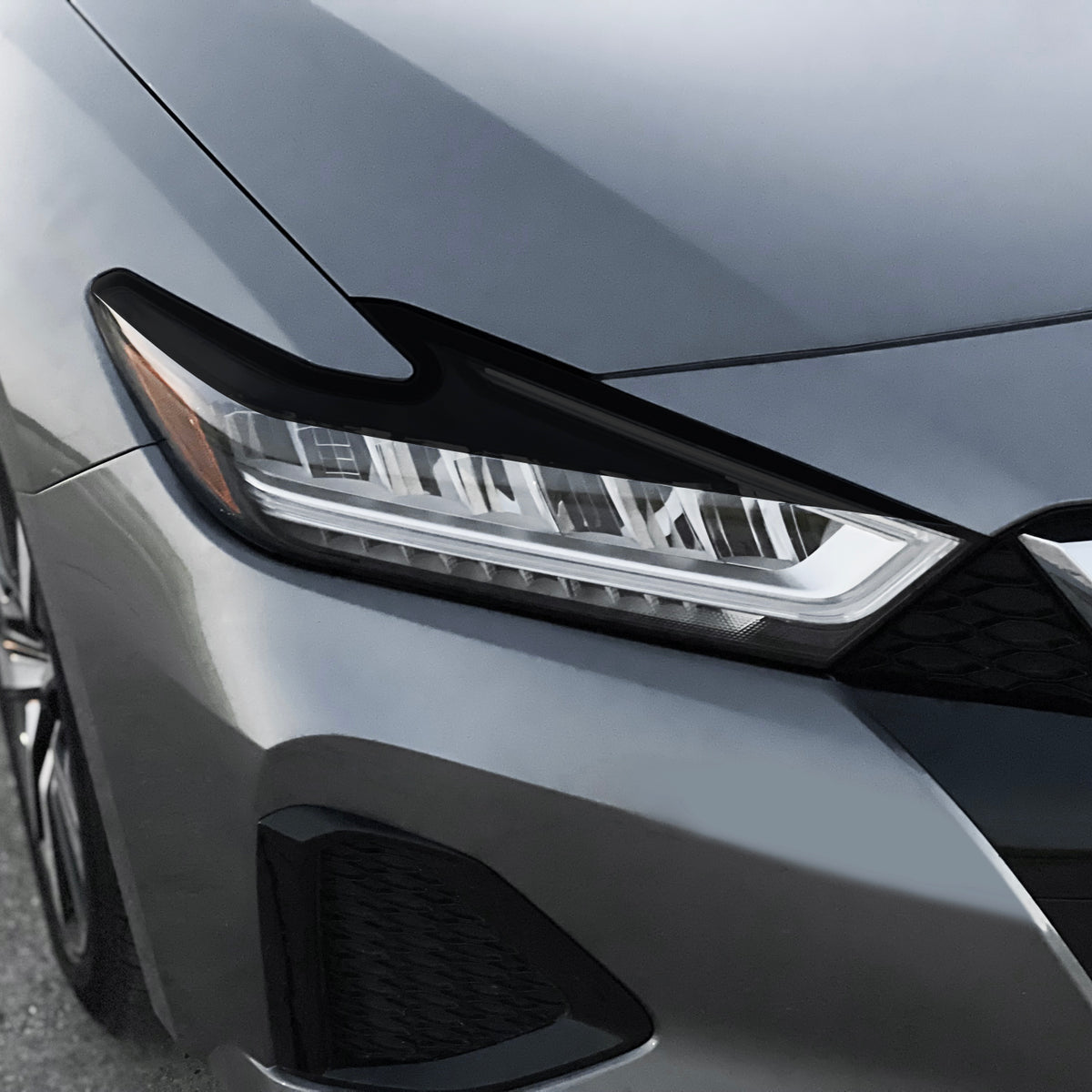 2019-2023 Nissan Maxima | Headlight Eyelid PreCut Vinyl Overlays – SlickMod