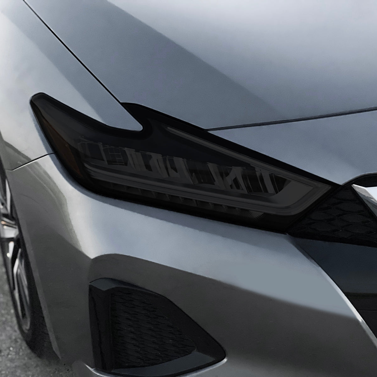 2019-2023 Nissan Maxima | Headlight PreCut Tint Overlays – SlickMod