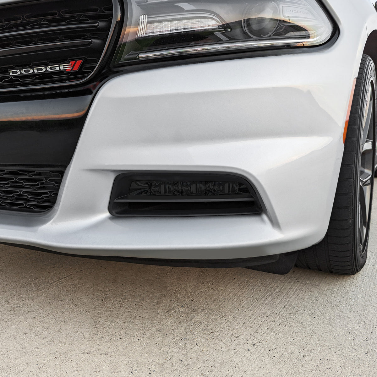 2015-2022 Dodge Charger | Fog Light PreCut Tint Overlays – SlickMod